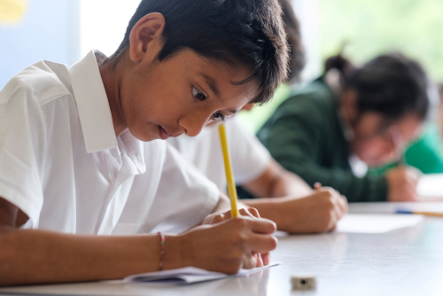 Understanding national curriculum tests in KS1 and KS2 - NFER