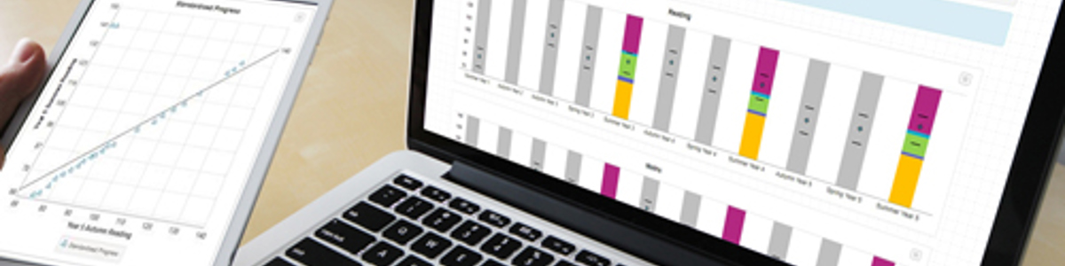 NFER Tests Analysis Tool - NFER