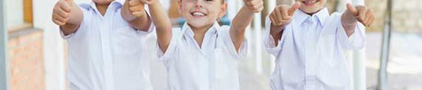 School Testimonials - NFER