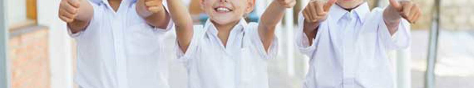 School Testimonials - NFER