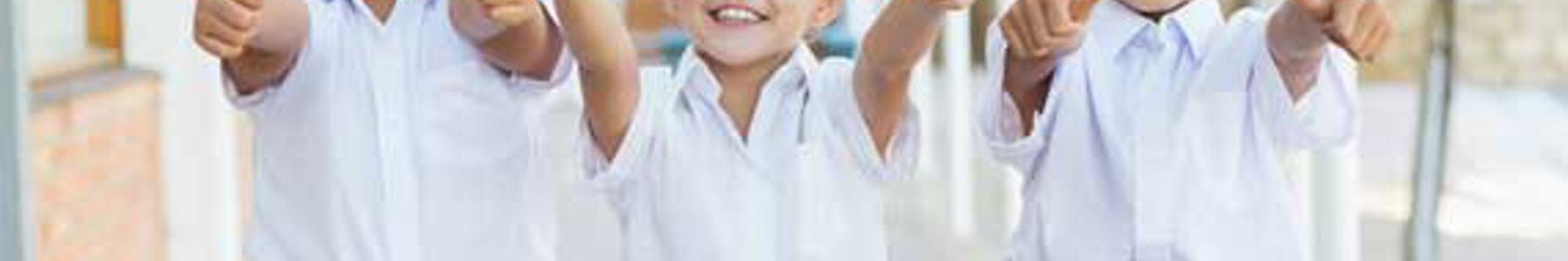 School Testimonials - NFER