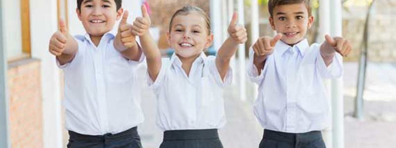 School Testimonials - NFER