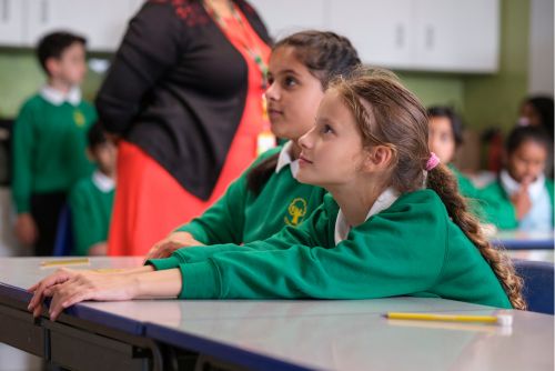 How do I interpret standardised scores? - NFER