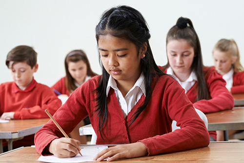 National Reference Test - NFER