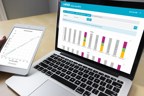 Introduction to the NFER Tests Analysis Tool - NFER
